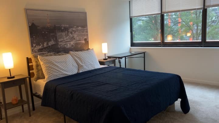Mins To Dc, Dca, Parking, Wifi, Metro - Arlington, VA