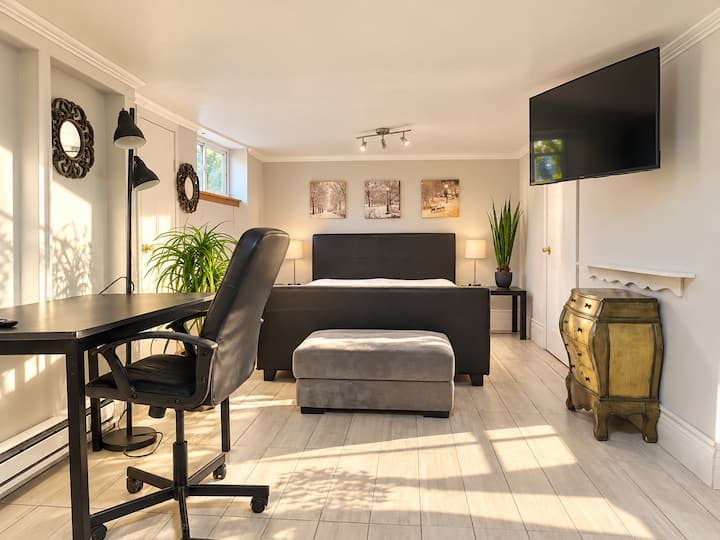 Large Studio With Private Entrance Shared Kitchen - Montreal