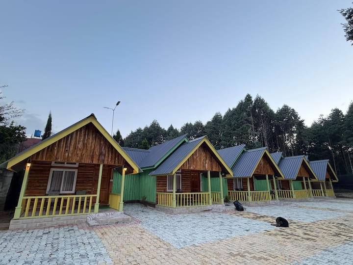 Pine Clade Cottage No 5 - Ziro