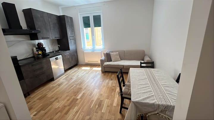 Appartamento Saffi - Centro Storico - Faenza - Faenza