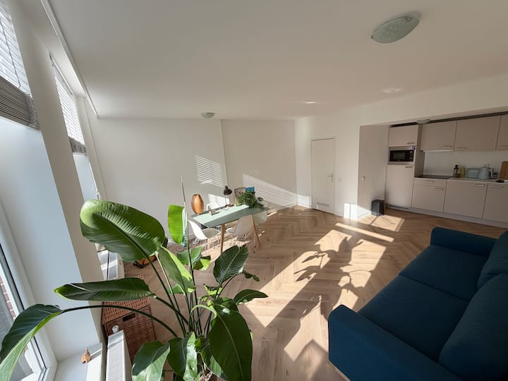 Sunlit Apartment In Benoordenhout - Scheveningen