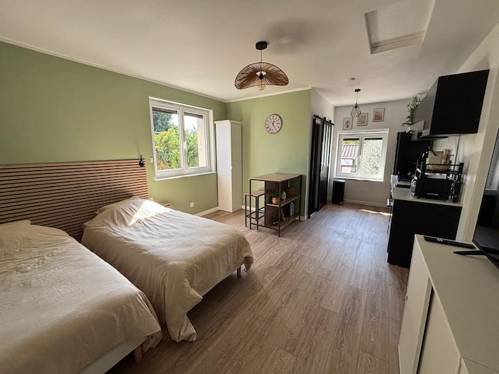 Studio, 30m2, Rénové, Au Calme Avec Terrasse - Villette-d'Anthon