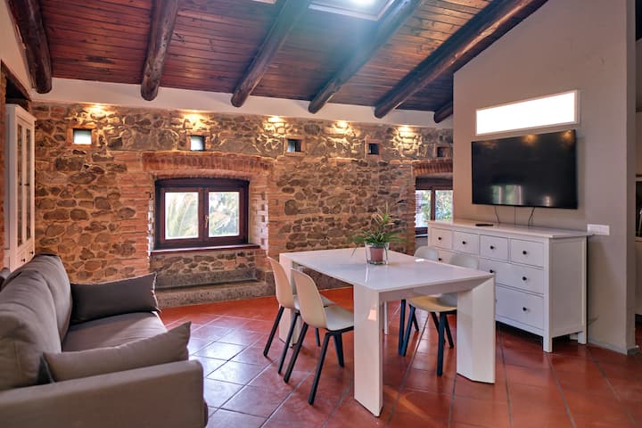 Domus - Ciampino