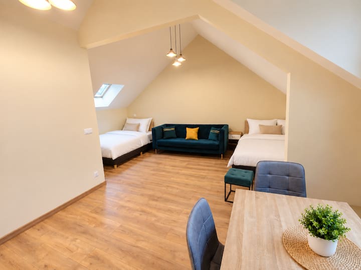 Appartement Mansardé Lumineux à Versailles - Versailles