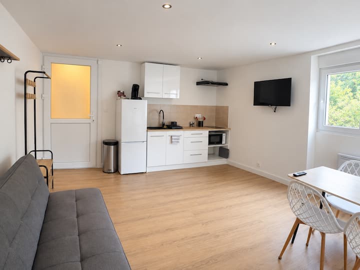 Appartement Annonay - Annonay
