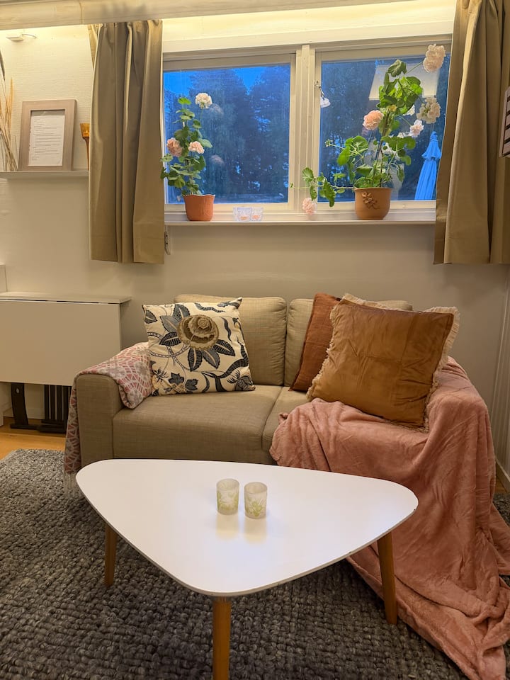 Fristående Lägenhet I Villa På Hörntomt - Norrköping