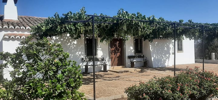Hermosa Vivienda En El Corazón En Los Pedroches - Villanueva de Córdoba