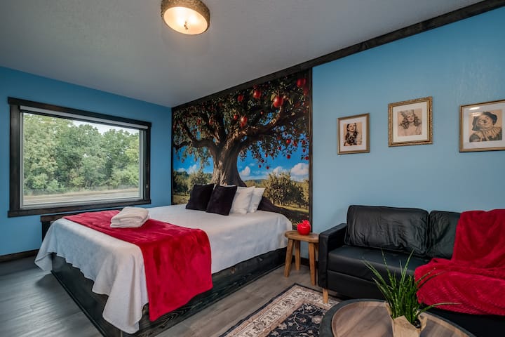 Studio W/kitchen | King Bed | Free Parking - Hastings, MN