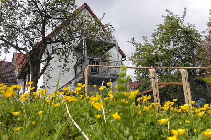 Wohnung Nähe Heidelberg Mit Naturausblick - Leimen