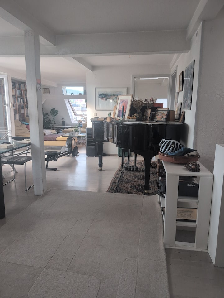 Wunderschöne Dachwohnung Im Stuttgarter Westen - Stuttgart