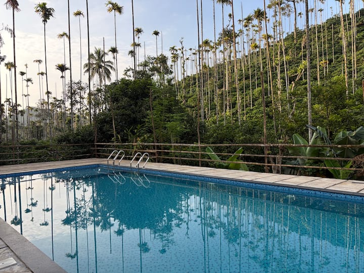 Private Pool Villa Brook Streak Wayanad - Kerala