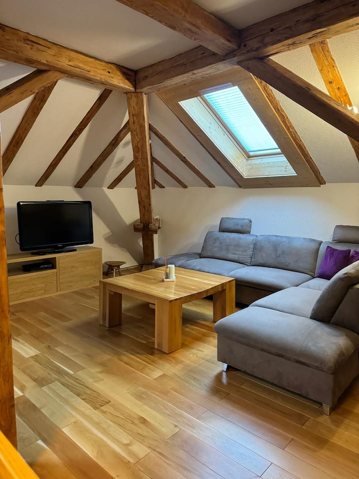 Gemütliche Alpen-dachwohnung Tor Zu Braunwald - Canton of Glarus