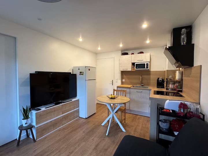 Appartement Cosy Au Cœur Du Pays Du Mont-blanc - Sallanches