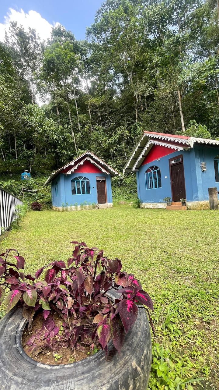 Misty Mountain Cottage For A Peaceful Escape - Mirik