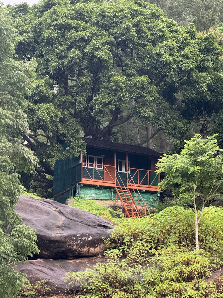 Hornbill Hideaway Jungle Cottage - Marayoor