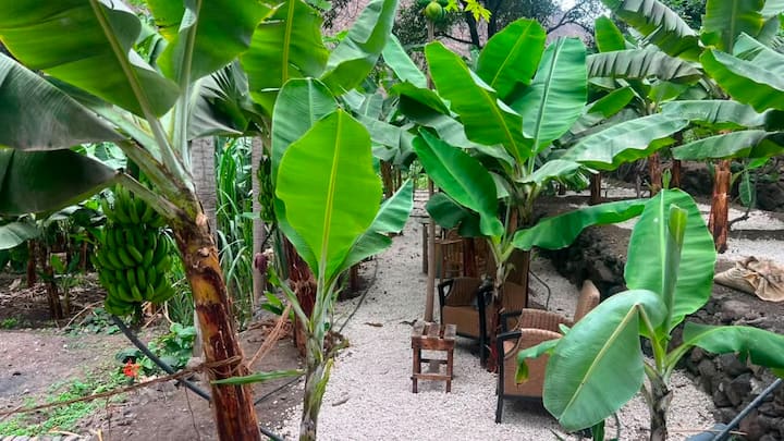 Eco Lodge Zen Garden
Only Adults - Cap-Vert