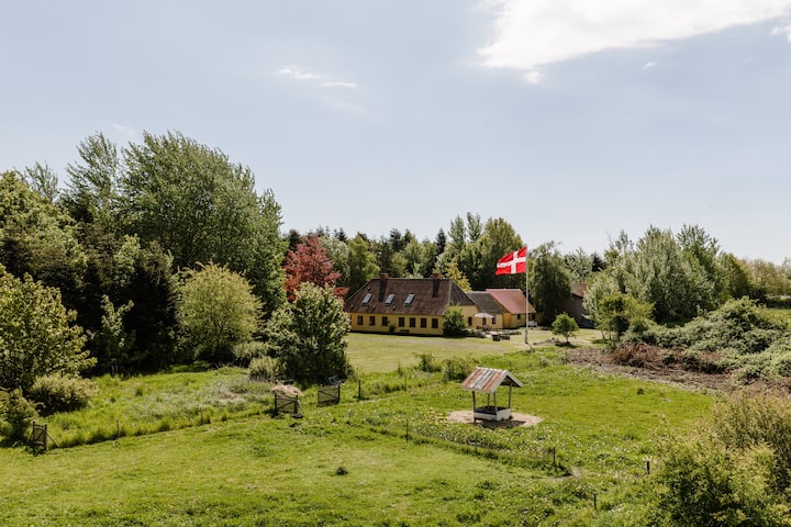 Smuk Bondegård Med Egen Skov, Marker Og Udsigt - Denmark