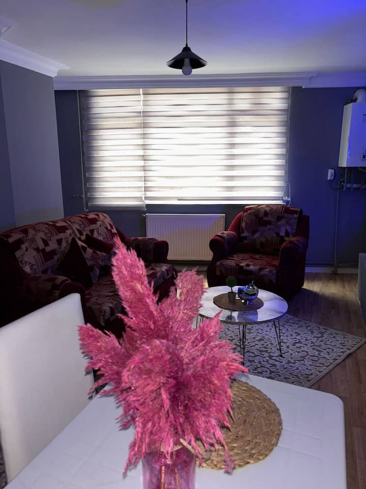 Pendik Carsi Merkezi Appartement - İçmeler