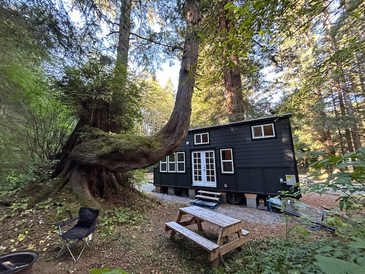 The Mystic Tiny House - Redwood National and State Parks, California