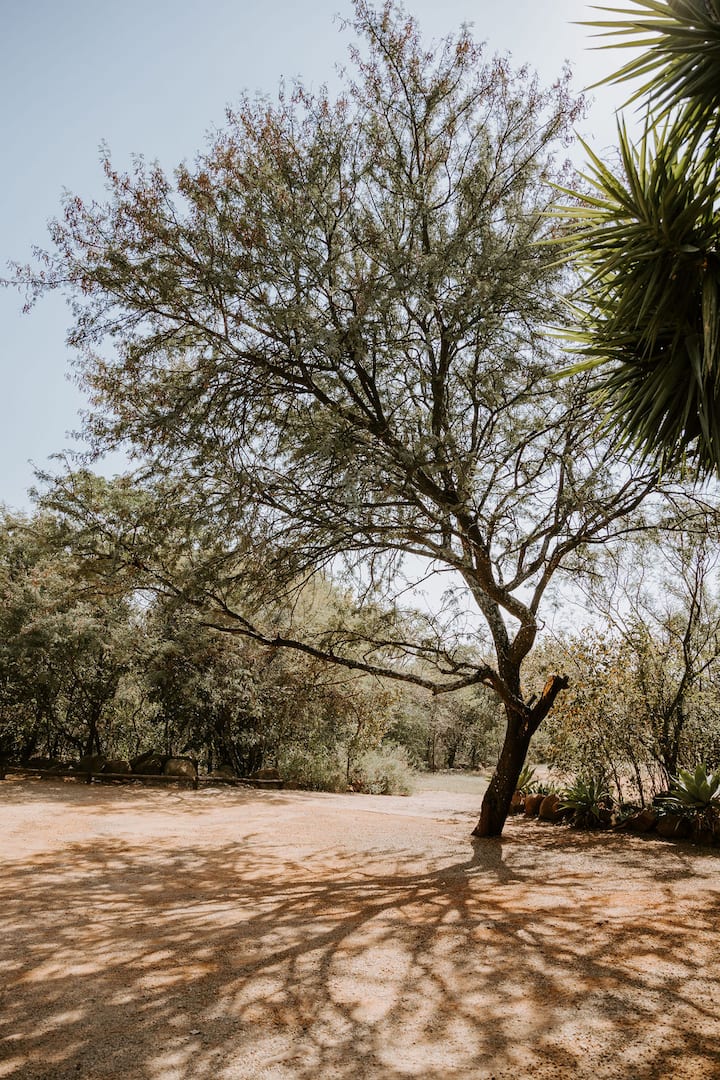 Bushveld Lodge Near Cullinan - Cullinan