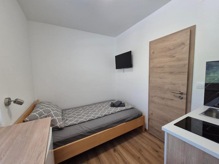 Villa Vojkova | Modern Apt For 3 In Ljubljana - Ljubljana