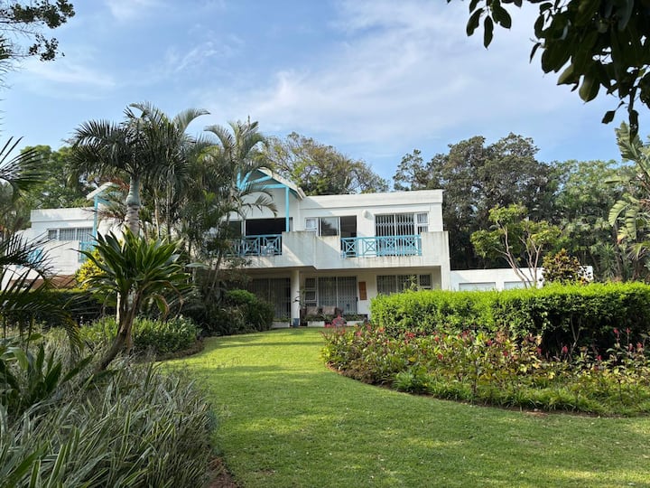 47 Aruba, Thompsons Bay - Dolphin Coast