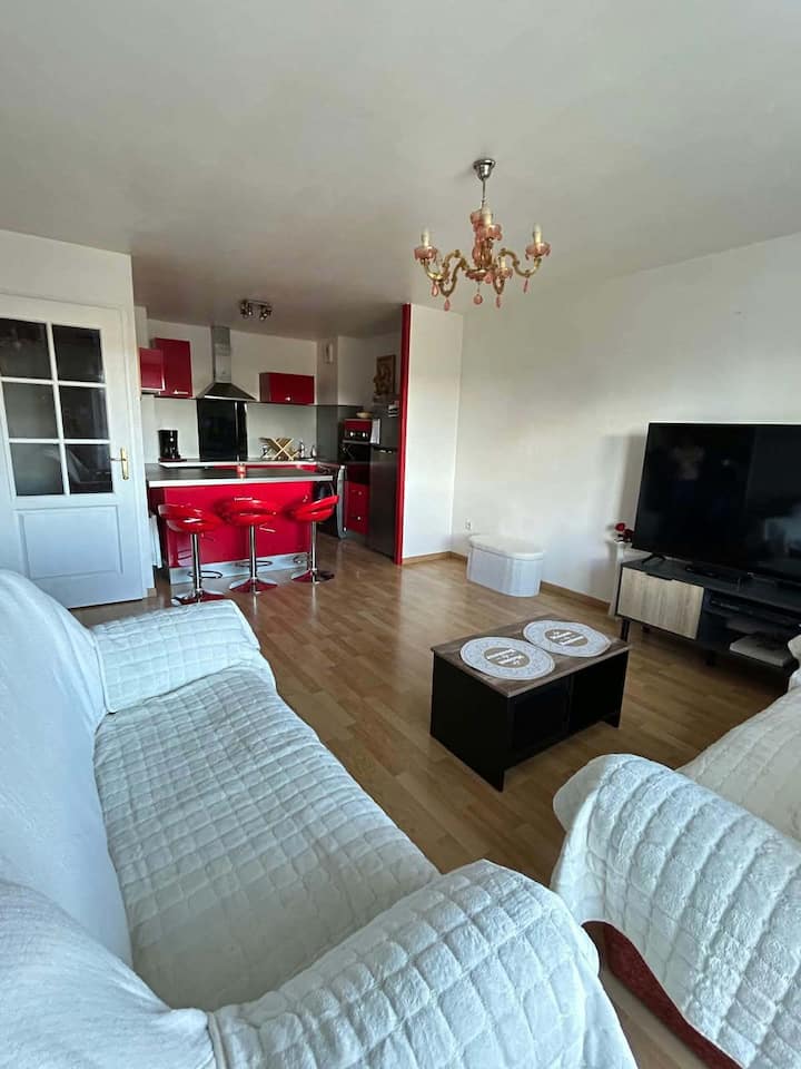 Appartement Au Coeur Des 3 Villes Sœurs - 厄鎮