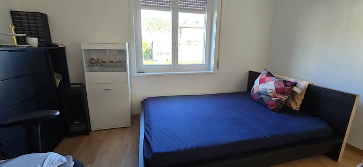 Sunday Night Express: Central, Sunny Room In Biel - Bienne