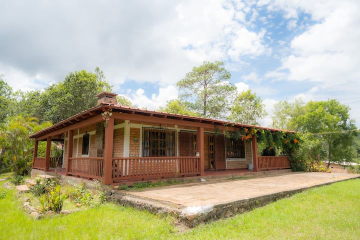Finca La Guadalupe - Honduras