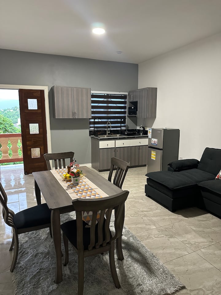 Spacious One Bedroom (Free Airport Pickup) - 蒙特哥貝