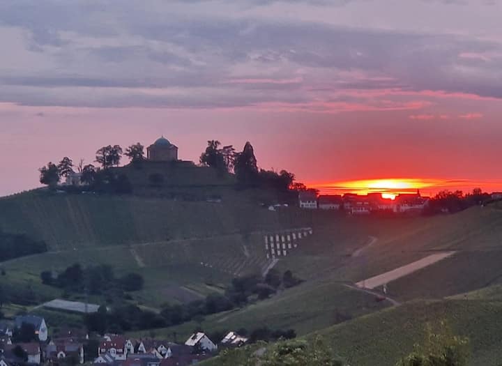 Weinberg-idylle - Esslingen am Neckar