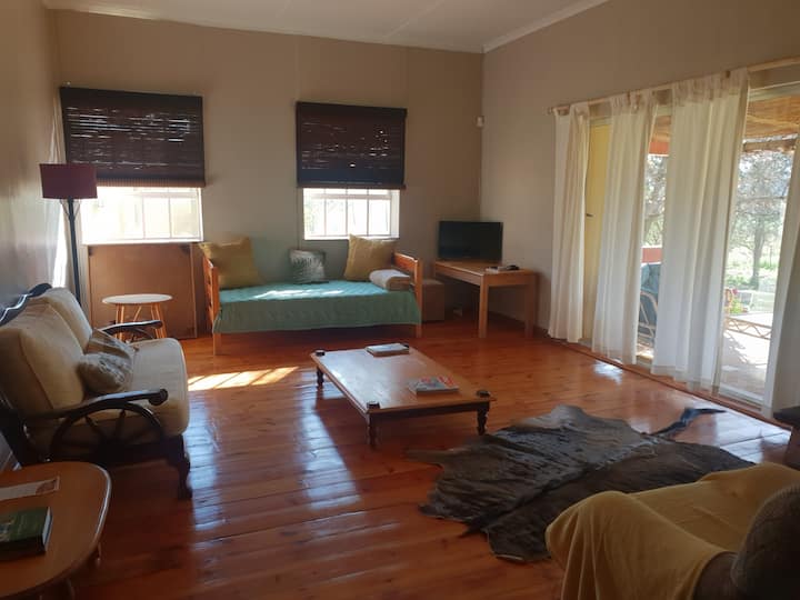 Die Skool - Montagu