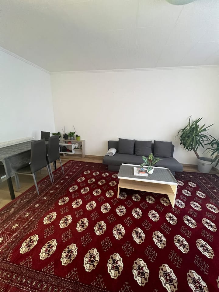 Modern Apartment Between Brussels & Ghent - Ghent