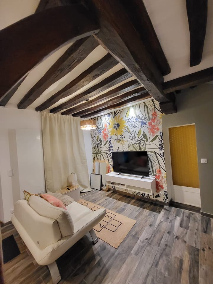 Maison Chaleureuse Au Cœur De Trilport - Meaux