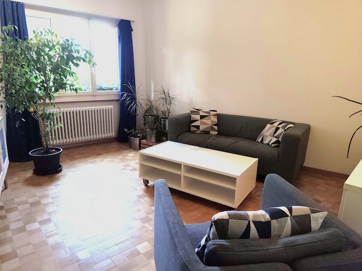 Gemütliche Wohnung In Bern - Bern
