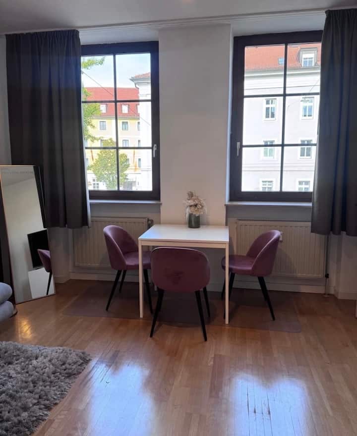 Zentrale Wohnung Innenstadt Würzburg - Würzburg