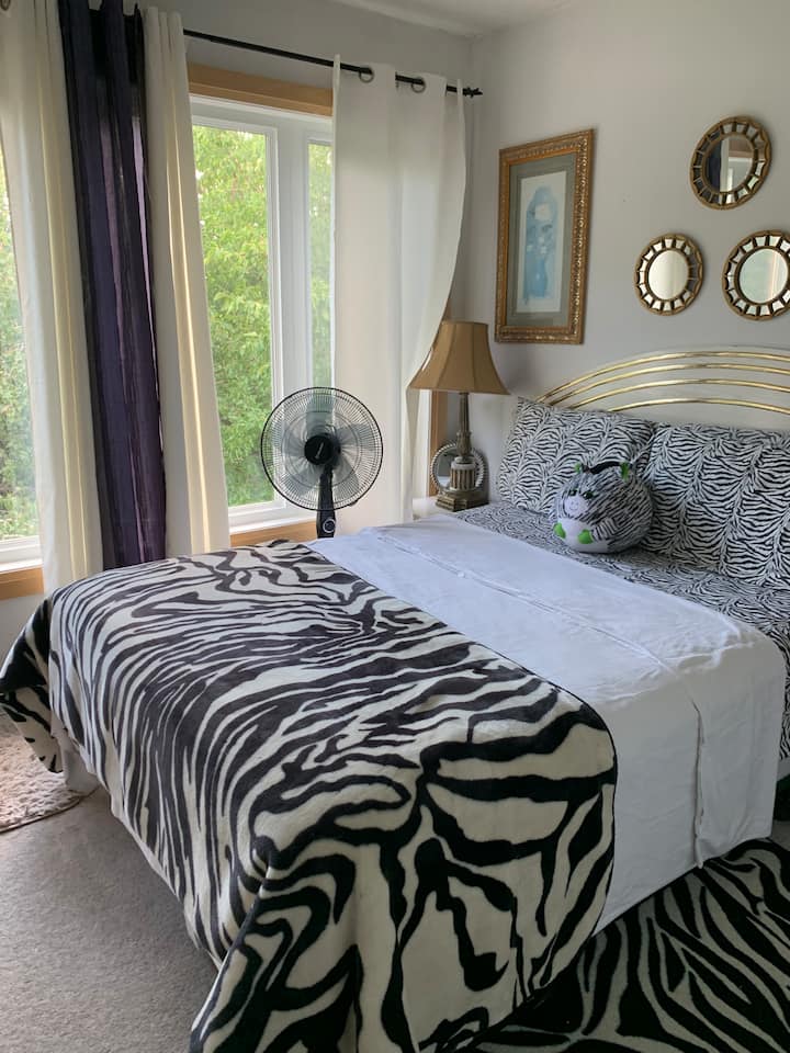 Easy Zebra Niagara - Grimsby