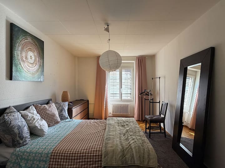 Spacieux Appartement - Genebra