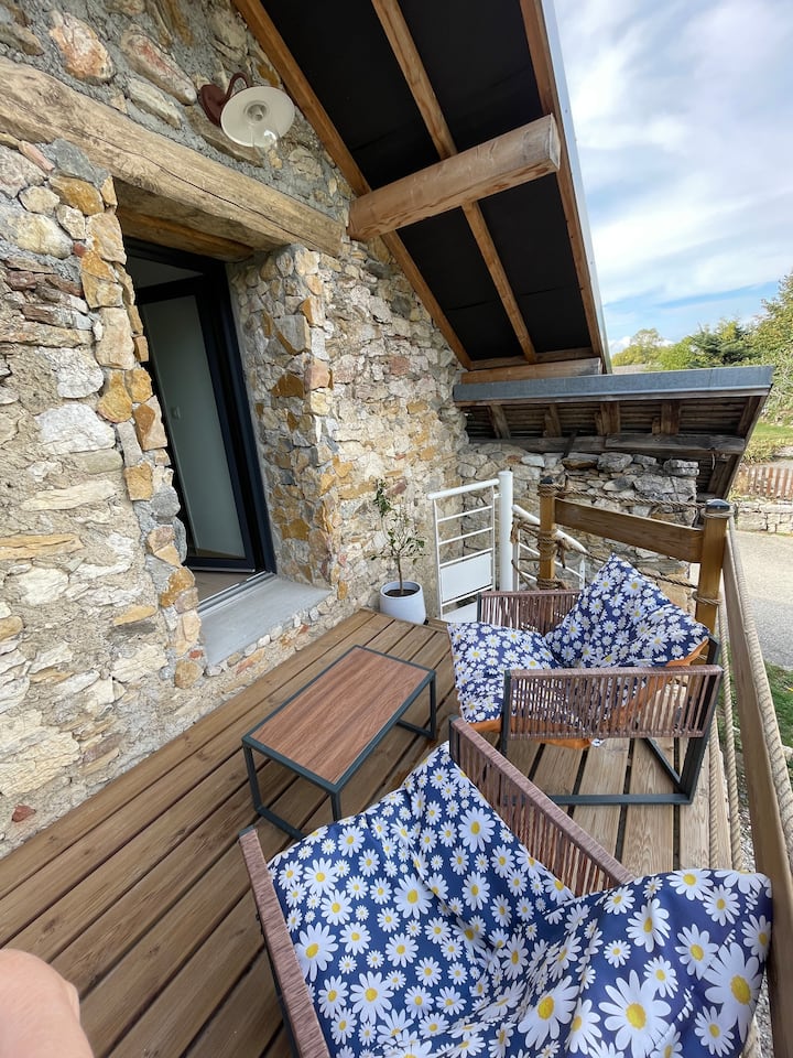 La Petite Graine - Studio Avec Terrasse - Aix-les-Bains