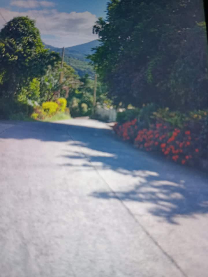 Jolly's Mountainview Guest House - Dominica