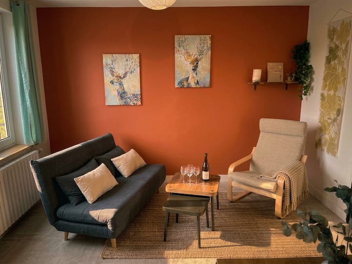 Maison 4 Chambres - Jardin - Idéale Pro & Famille - Angers