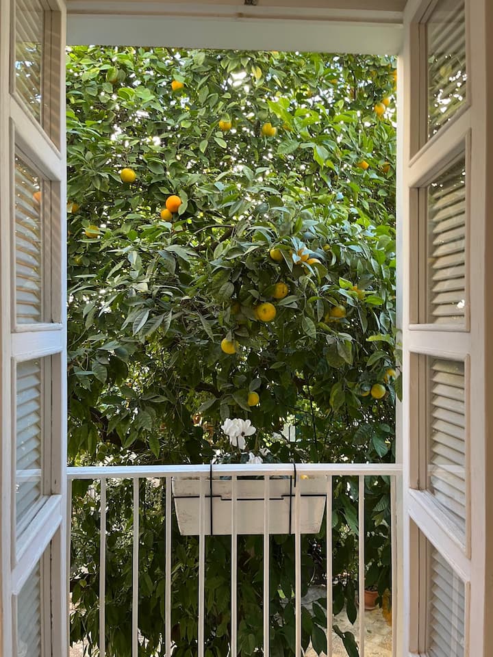 Junto A La Catedral · Vistas A Naranjos Y Azahar - Seville