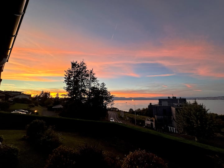 Vue Lac Léman Panoramique Terrasse Privée &Parking - Évian-les-Bains