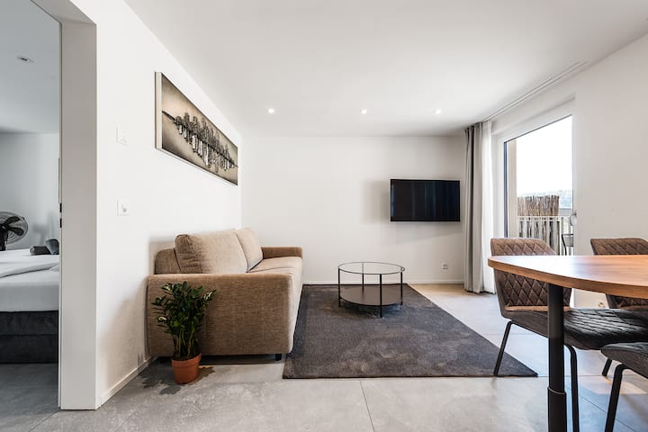 City-apartment 19 - Winterthur