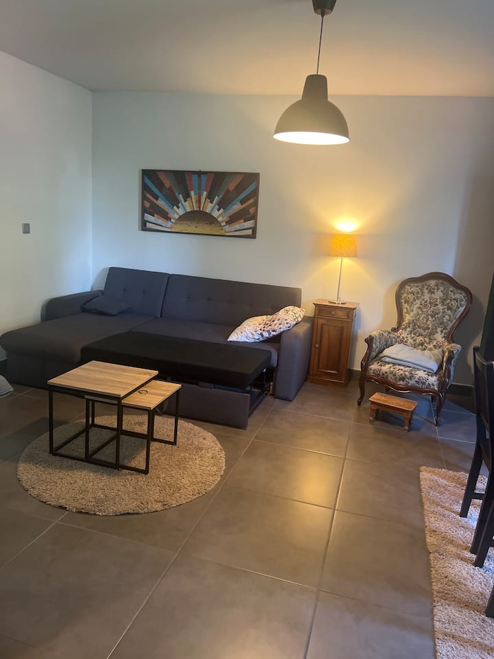 Apparemment Toutes Commodités Sur Grenoble - Saint-Martin-d'Hères