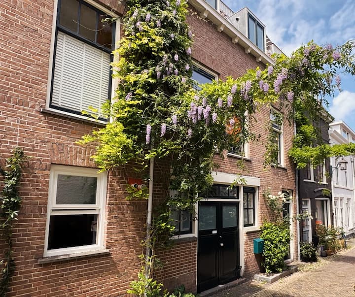 Hide Away Haarlem - Haarlem