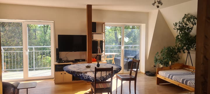 Wohnung Mit Grünblick - Weimar