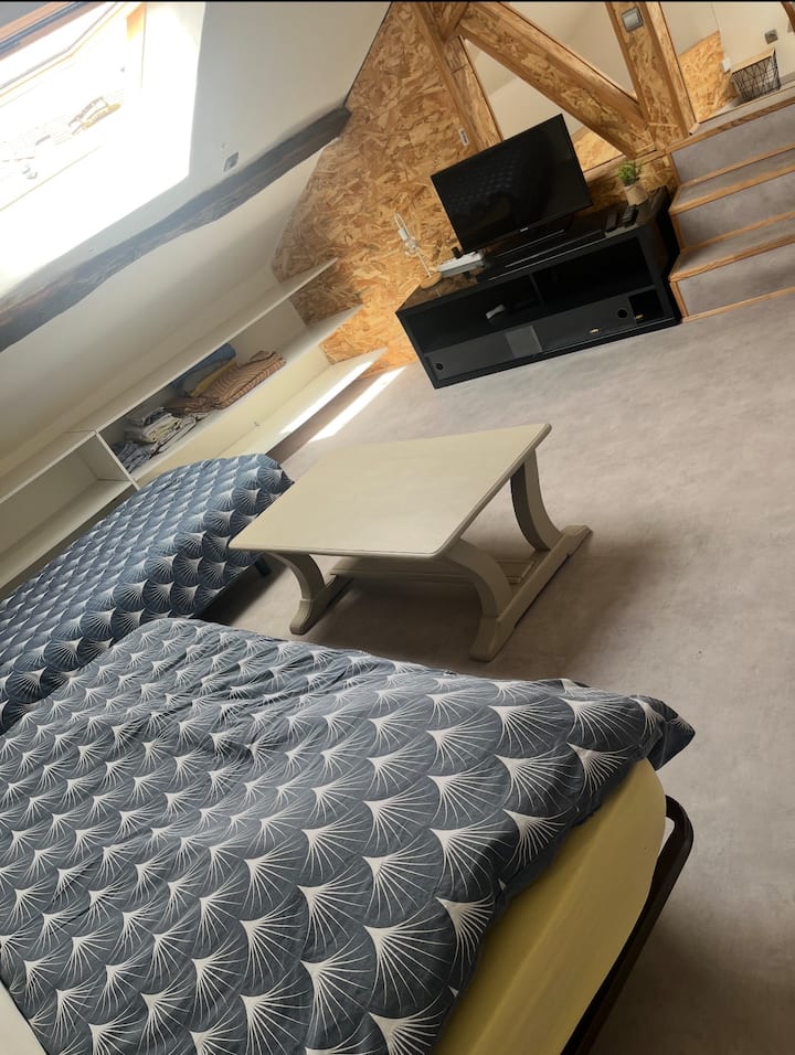Logement Situé Au Cœur De Bar Sur Aube - Dolancourt