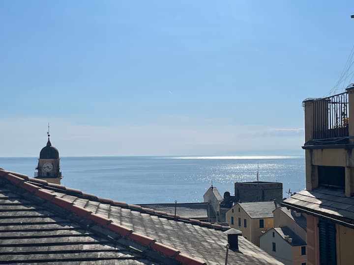 Il Poggiolo
Cielo E Mare Nel Cuore Di Camogli - Camogli