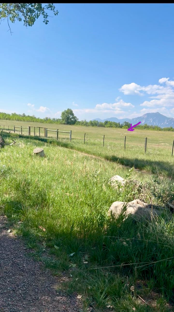Spectacular Boulder Setting 1 Mi To Boulder Mall - Boulder, CO